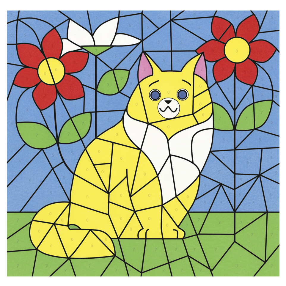 Graffy Pop Number, Chats/ Pce