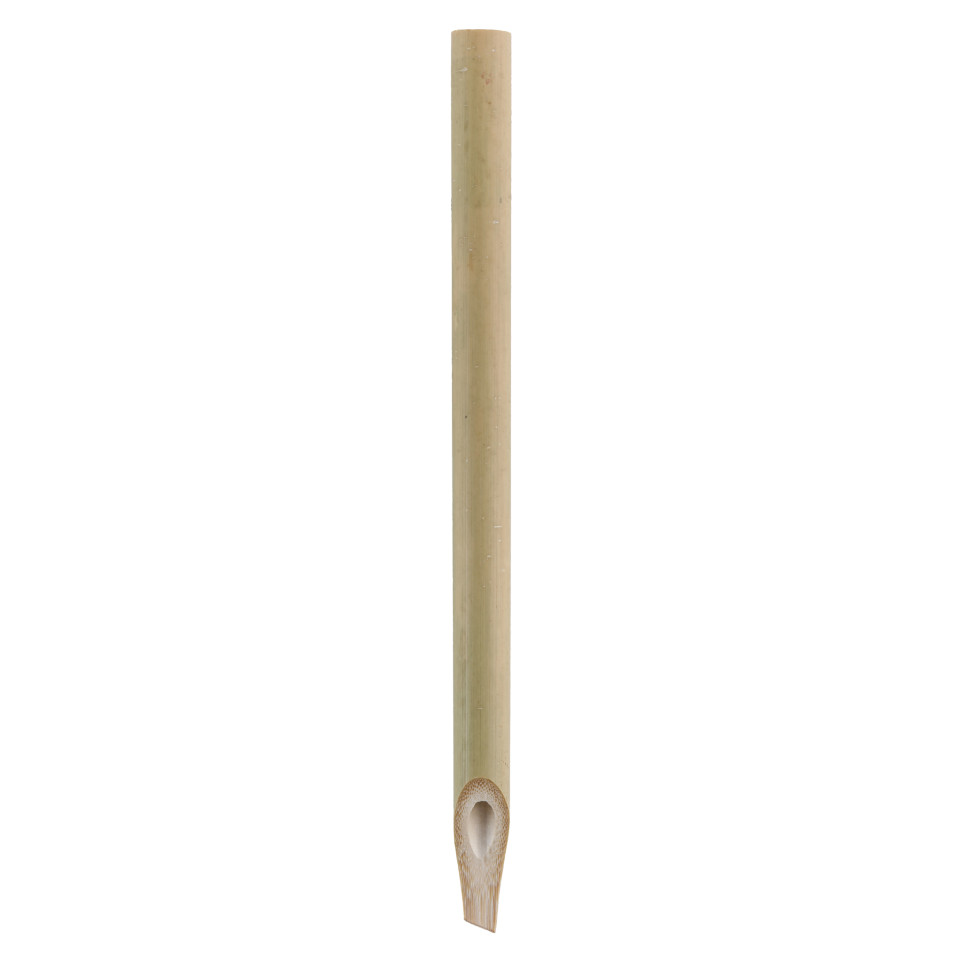Calame pour calligraphie arabe-/ Pce
